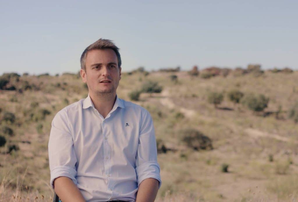 Reforestar los bosques con drones y semillas inteligentes. - Pienso ...