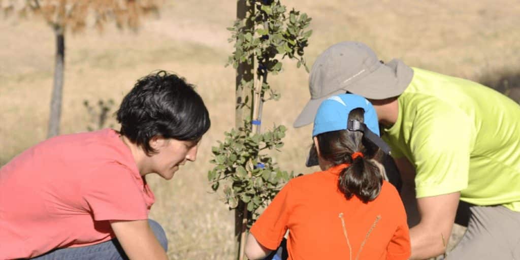 Retree - Pienso, Luego Actúo